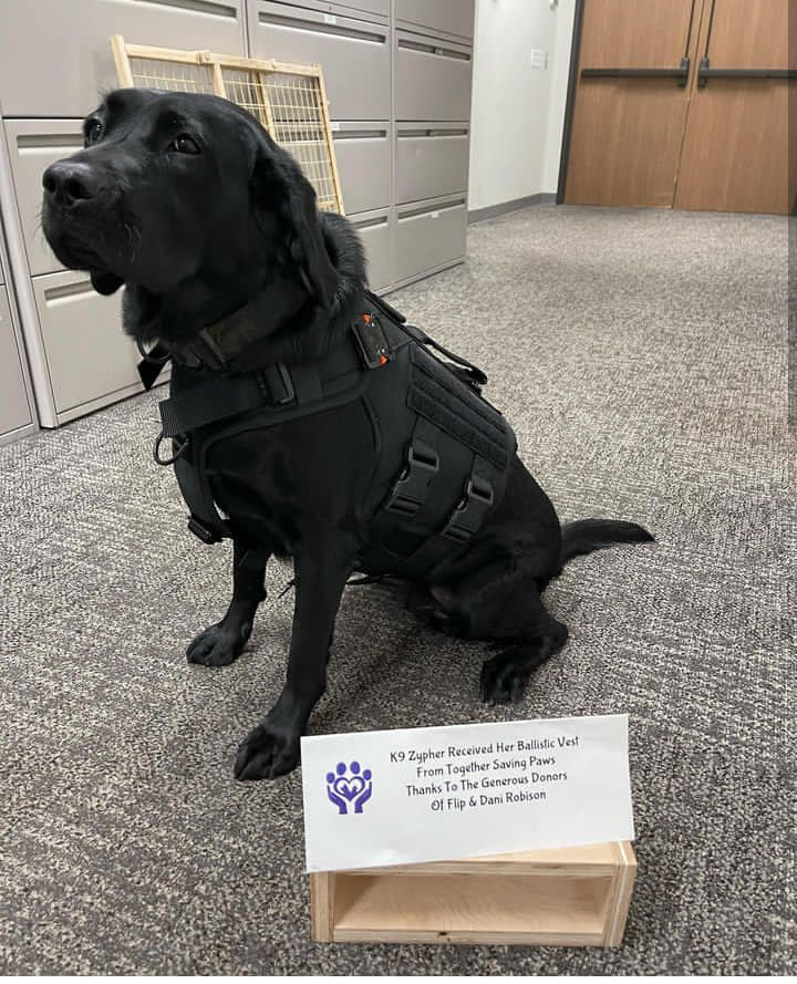 Best Ever Cause: Together Saving Paws